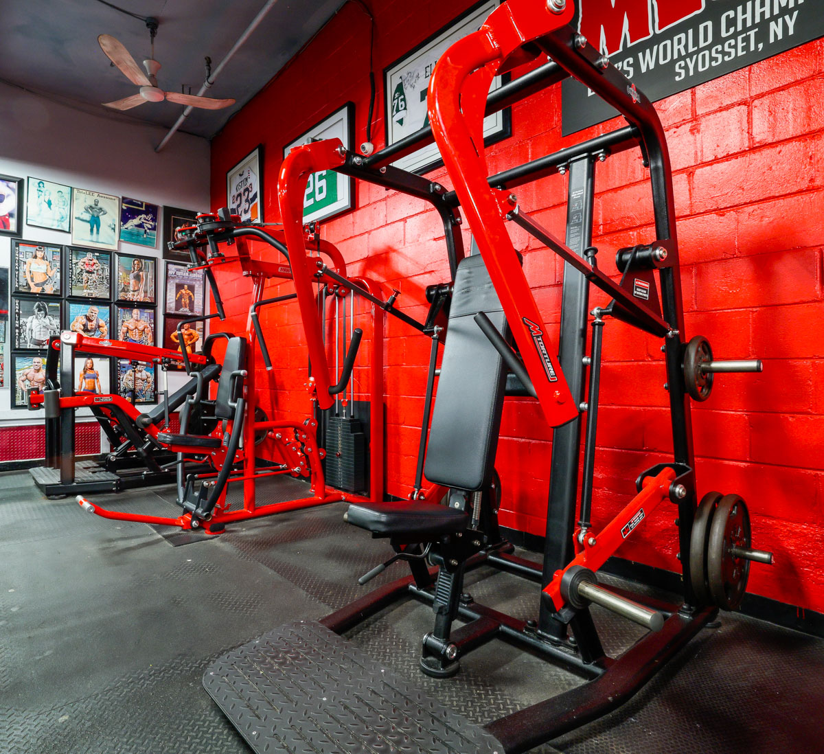 BEV FRANCIS POWERHOUSEGYM TOUR - Bev Francis Powerhouse Gym